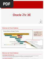 Guía de Instalación Oracle XE y SQL Developer | PDF | SQL | Oracle ...