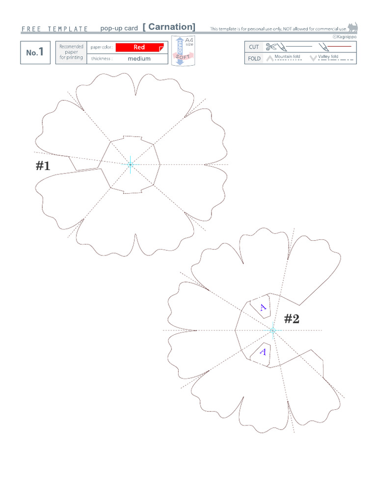 Carnation | PDF