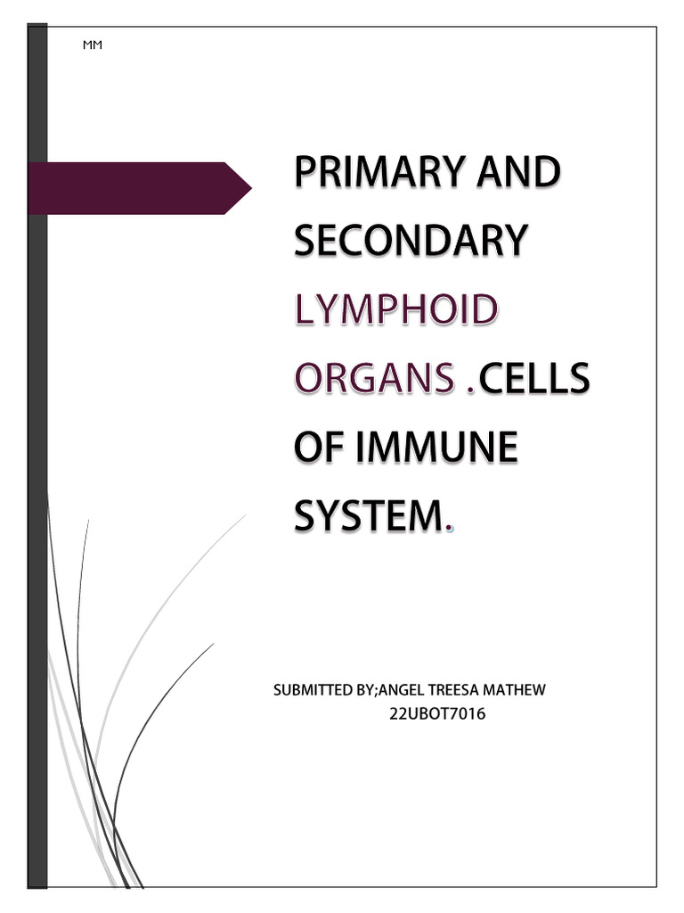 Primary and Secondary Lymphoid Organs | PDF | Lymphocyte | Lymphatic System