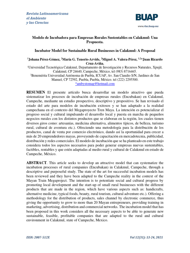 Rlac 12 (31) - 2 | PDF | Turismo | Business