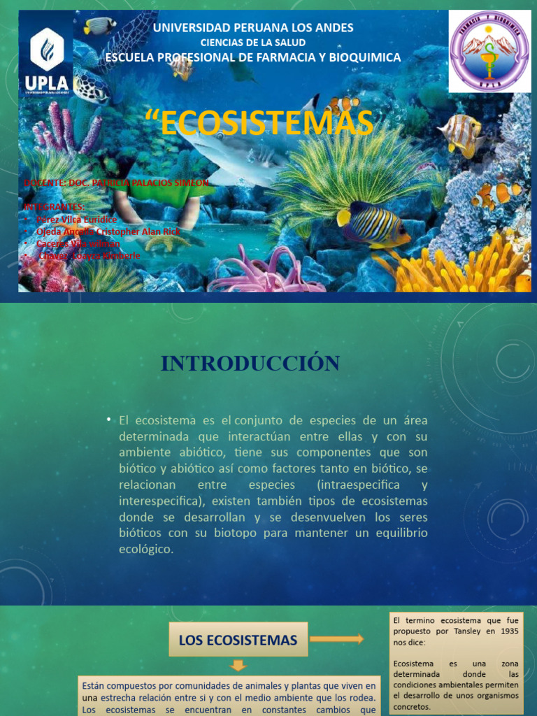 Ecosistemas Grupo 7 | PDF | Ecosistema | Suelo