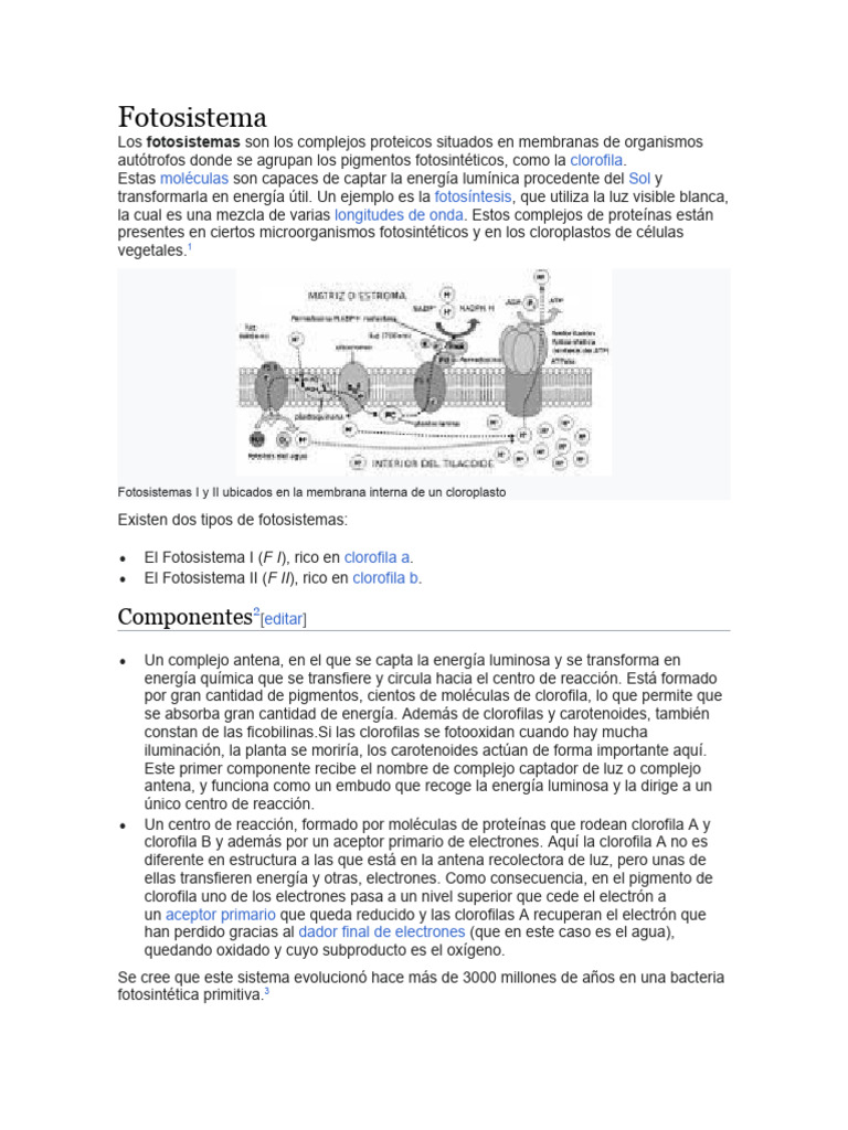 Fotosistema | PDF | Salud y bienestar