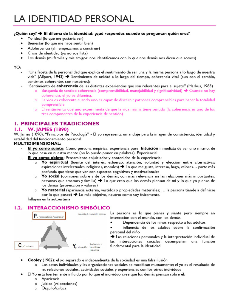Revisión de T12 - Personalidad | PDF | Autoestima | Experiencia