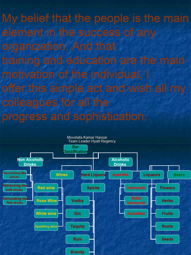 Bar Classification Moustafa Kamar | PDF