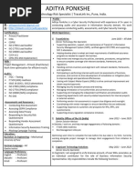 IT Security Audit Specialist CV | PDF | Computer Security | Security