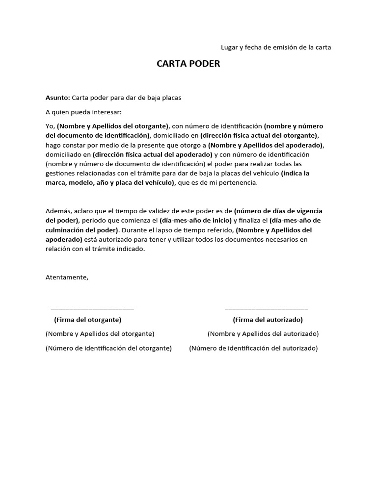 Carta Poder para Dar de Baja Placas | PDF