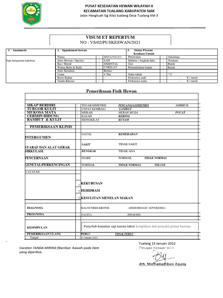 Visum Et Repertum | PDF