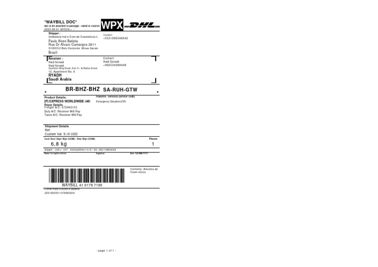 WaybillDoc 4101797195 | PDF