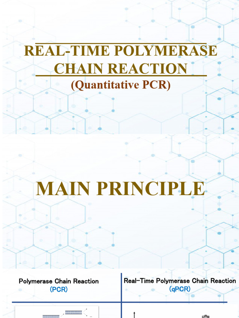 RT PCR | PDF