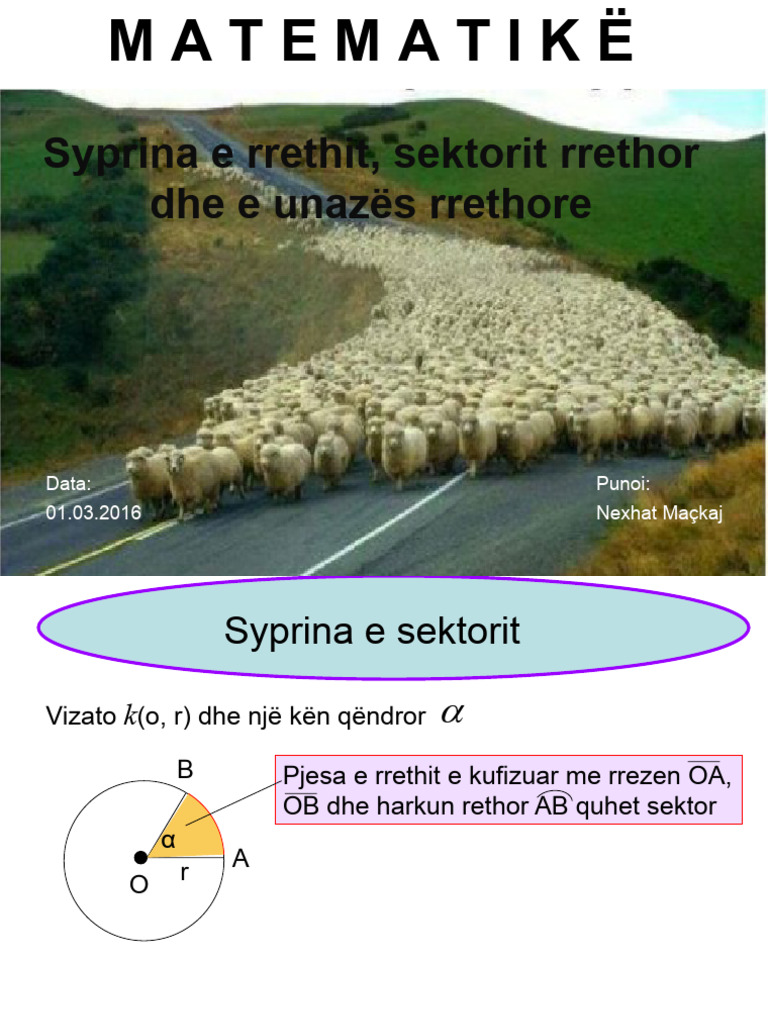 Syprina e Rrethit Sektorit Dhe Unazes Rrethore | PDF