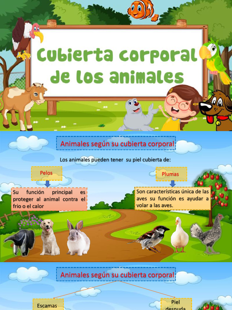 Cubierta Corporal de Los Animales PDF Animaless - 023706 | PDF