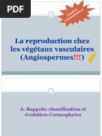 Le Carpelle : Organe des Angiospermes | PDF | Fruit | Embryon