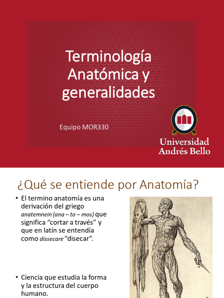 Terminología Anatómica Esencial | PDF | Articulación | Anatomía
