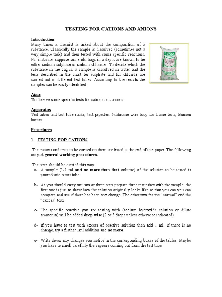 11 Test Cations Anions Pdf Ion Sodium
