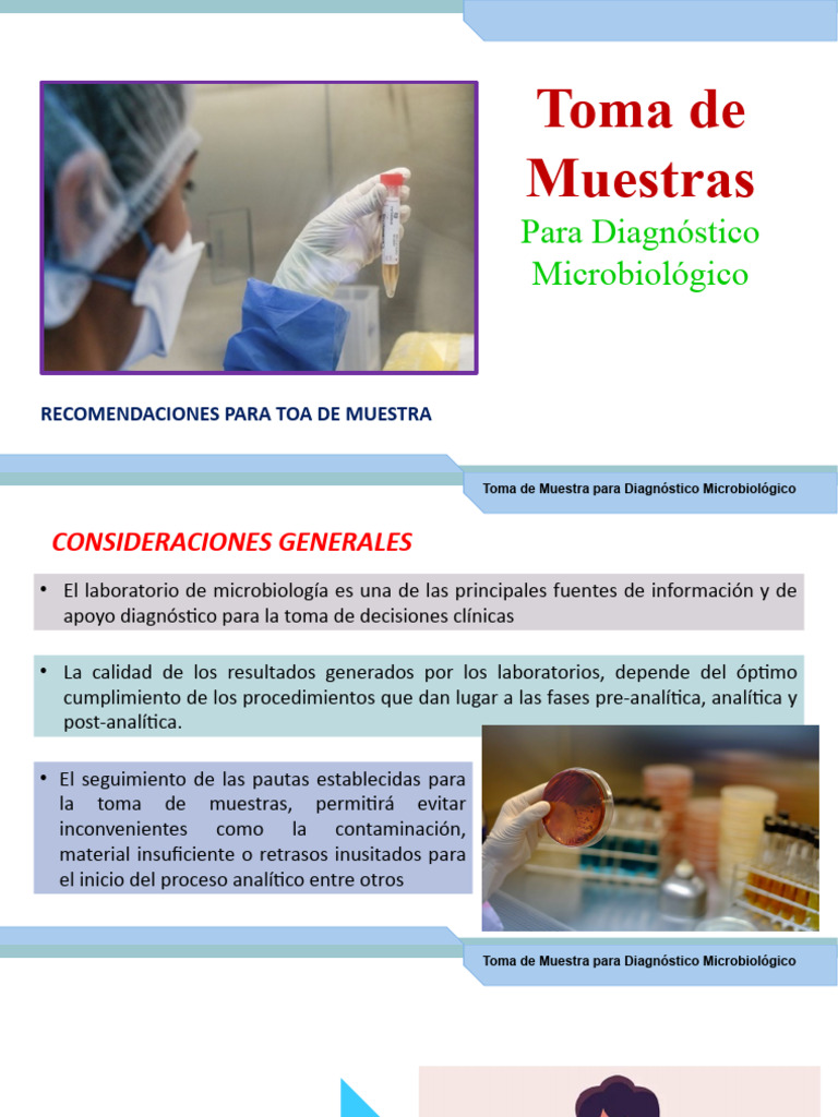 Unidad 1. Tema 2. Recomendaciones para Tomade Muestra | PDF ...