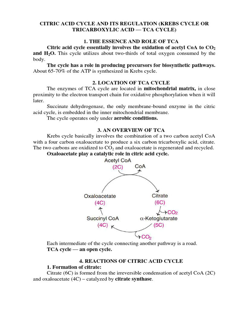 TCA Cycle: Mechanisms and Regulation | PDF | Diet & Nutrition | Chemistry