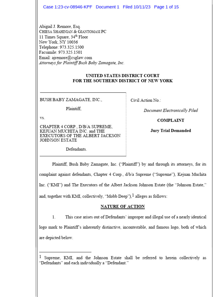 Baby Bush Zamagate v. Chapter 4 | PDF | Injunction | Complaint