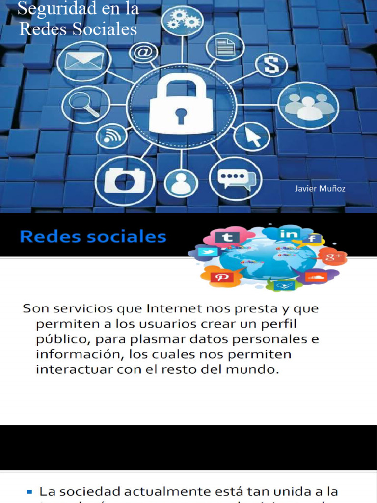Seguridad En La Redes Sociales Pdf
