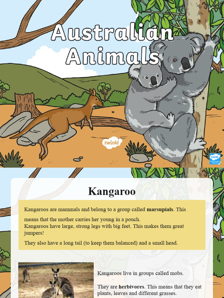 Australian Animals | PDF