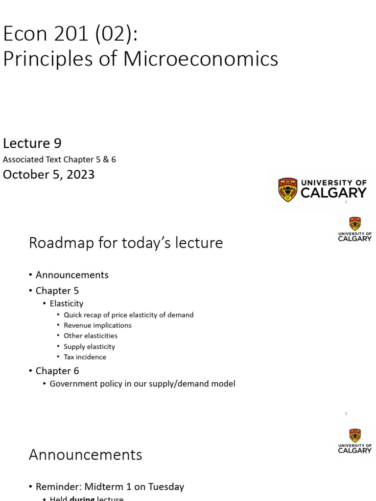 Econ 201 Lecture 56 | Download Free PDF | Price Elasticity Of Demand | Elasticity (Economics)