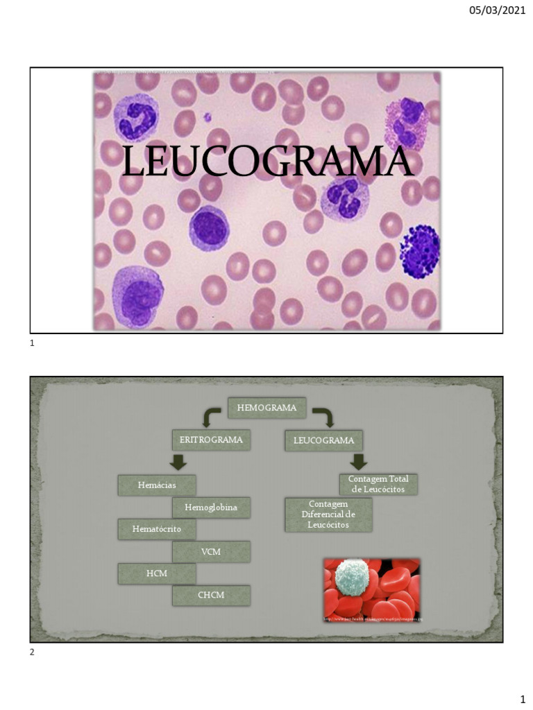 Aula 04 - Leucograma | PDF | Glóbulo branco | Sangue