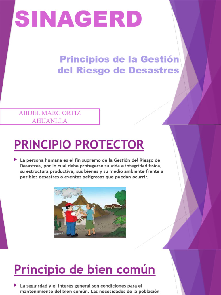 Sinager ..... | PDF | Riesgo | Reducción de Desastres