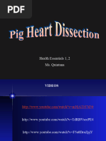 Sheep Heart Dissection Lab Guide | PDF