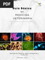 Cálculo de RER y MER para Gatos y Perros | PDF | Animales domesticados ...