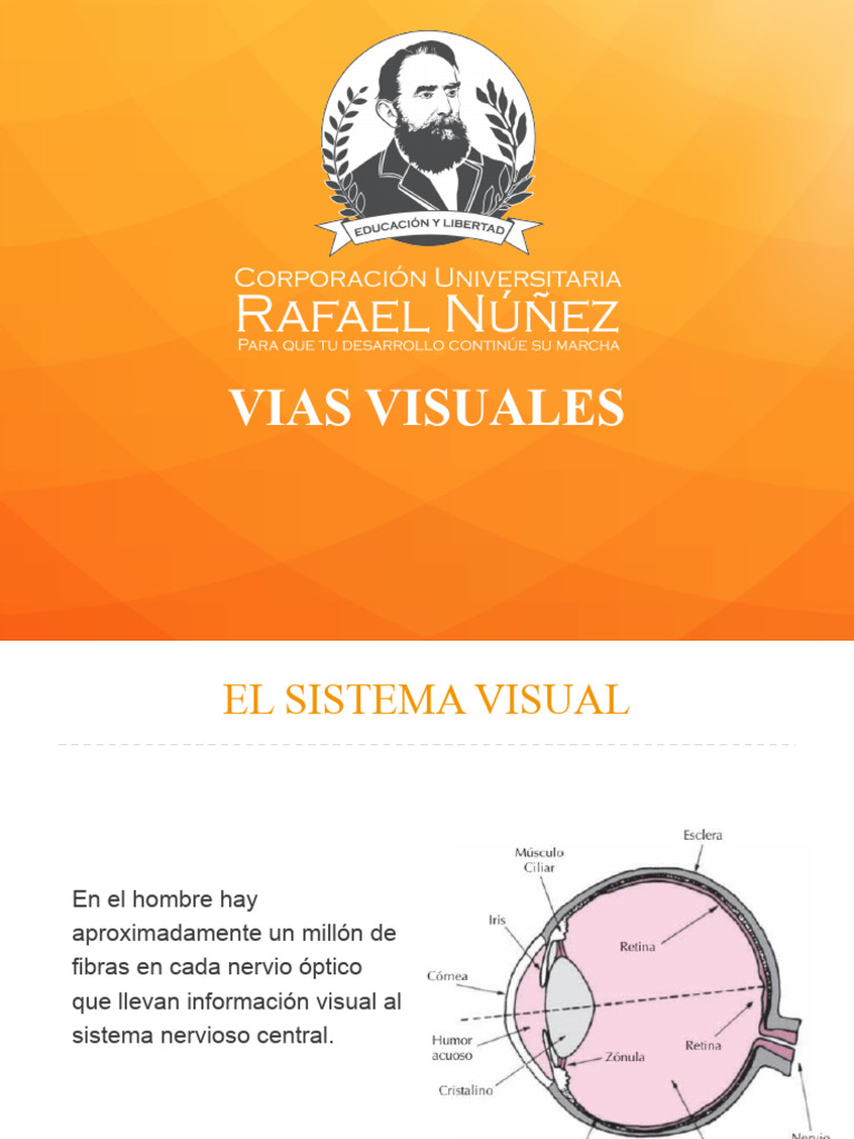 Vias Visuales | PDF