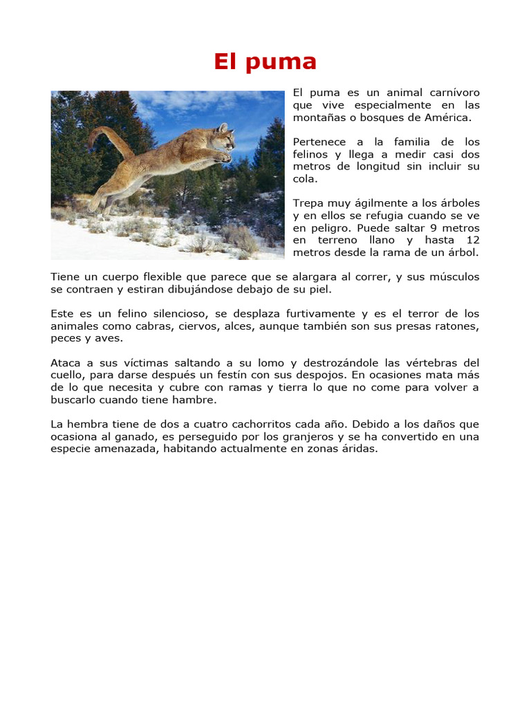 El Puma | Descargar gratis PDF | Puma