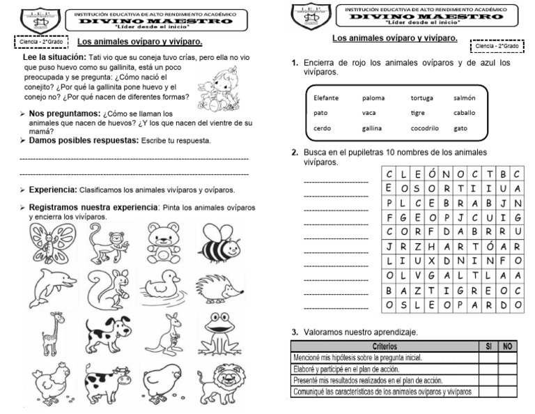 Actividades sobre animales ovíparos y vivíparos | PDF | Animales ...