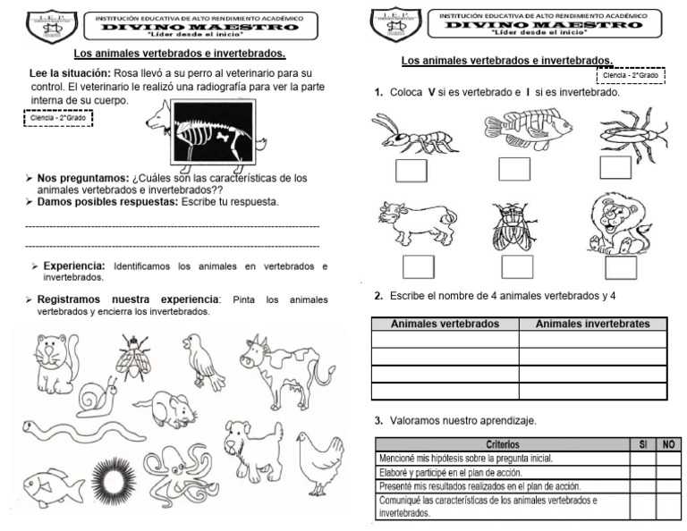 Ficha De Trabajo Sobre Vertebrados E Invertebrados Animales