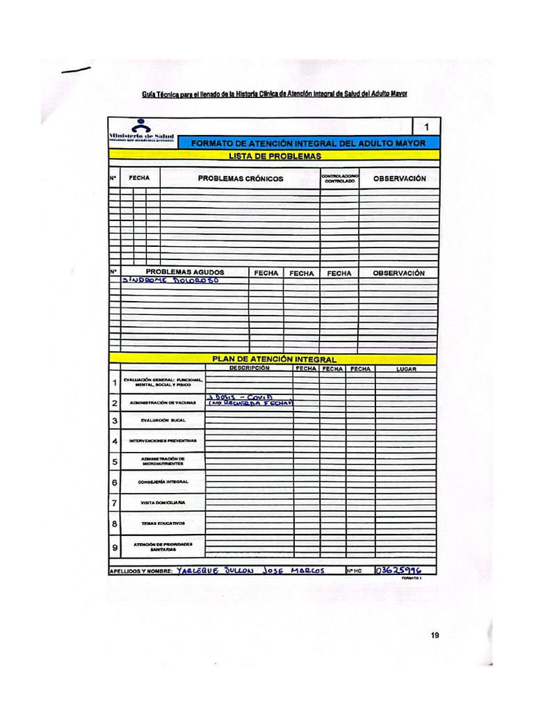 Formato de Atencion Integral Del Adulto Mayor - Karla Portilla | PDF