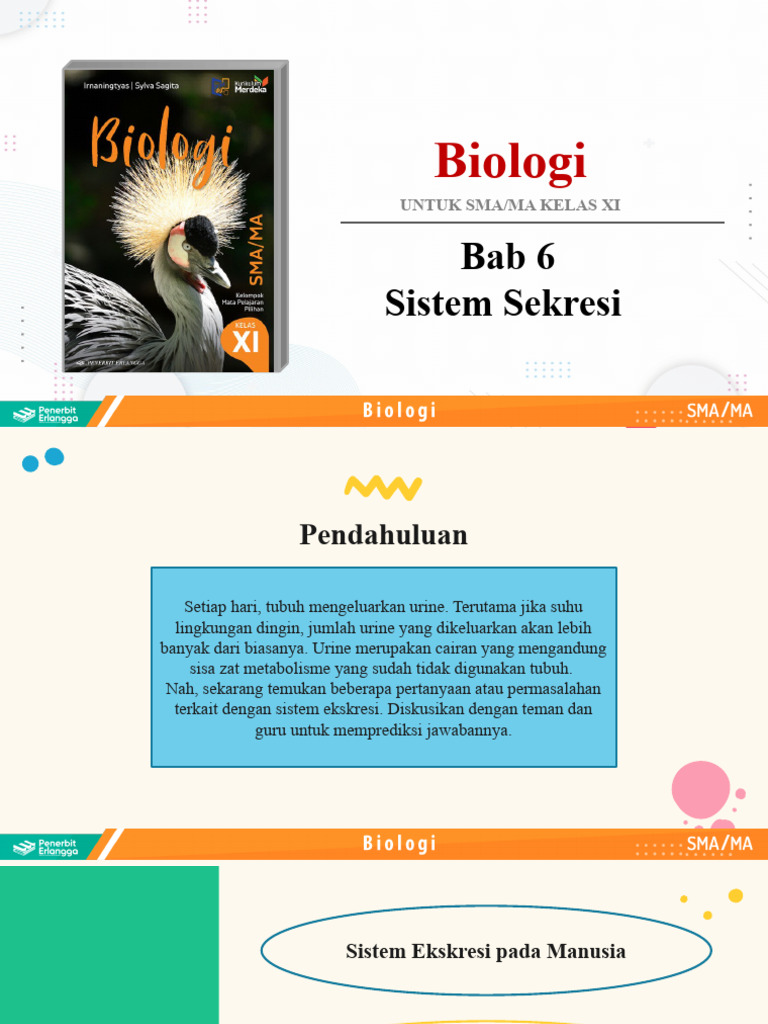 Bab 6 Sistem Sekresi | PDF