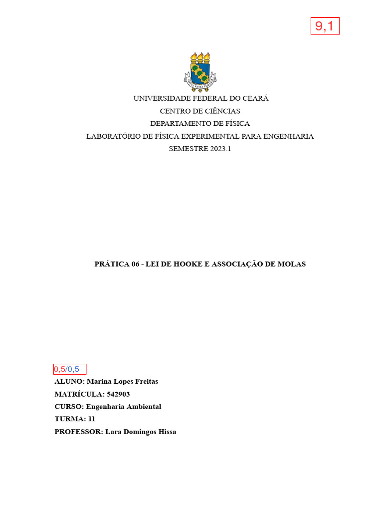 Relatório 6 | PDF | Ciências Físicas