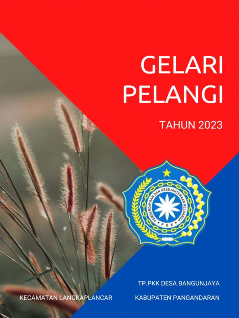 Laporan Program Gelari Pelangi PKK | PDF | Bisnis