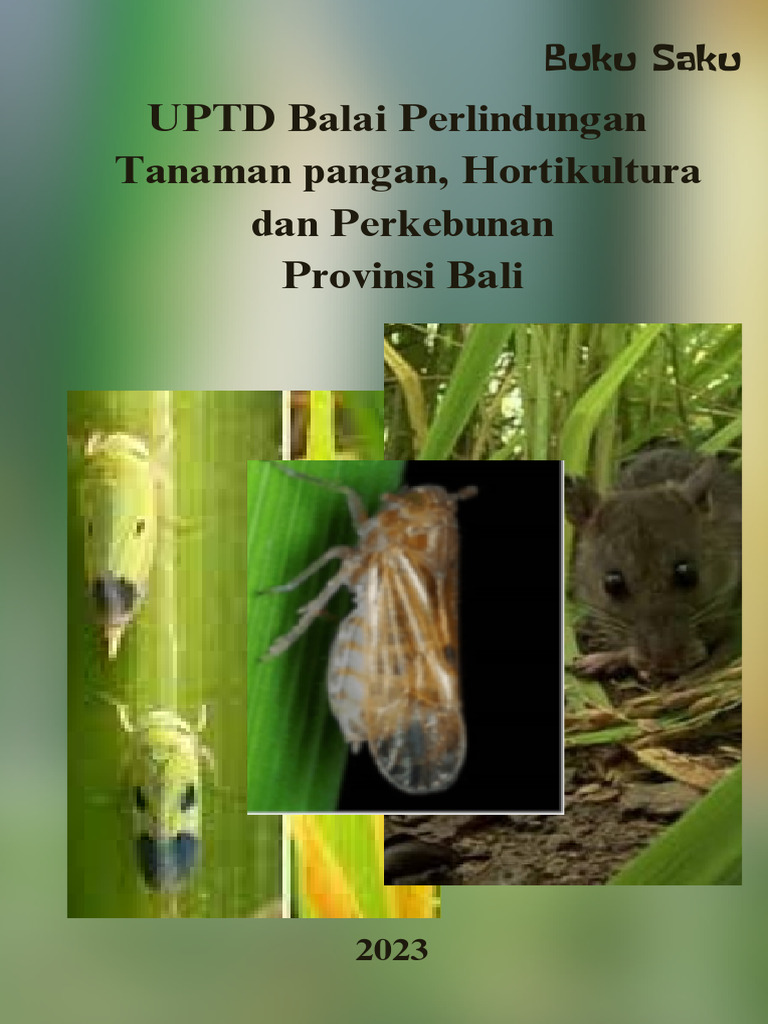 Pengamatan Dan Pelaporan Organisme Pengganggu Tumbuhan Dan Dampak ... Pengamatan Dan Pelaporan Organisme Pengganggu Tumbuhan Dan Dampak ...