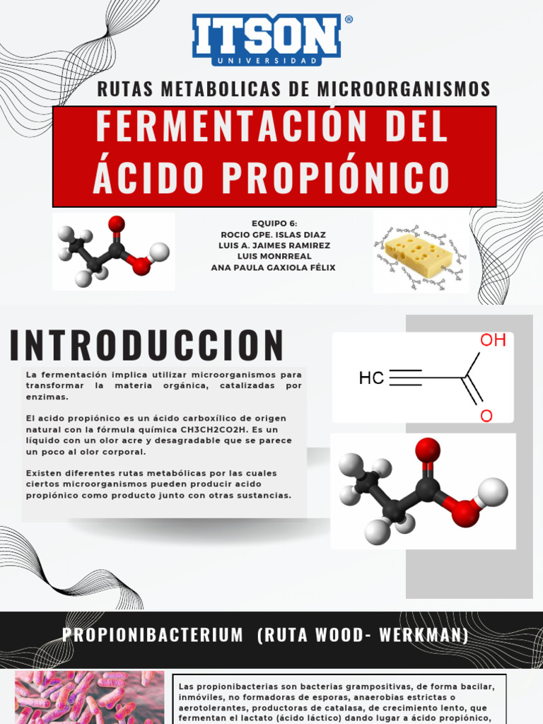 Act.4 Bioquímica Avanzada | PDF