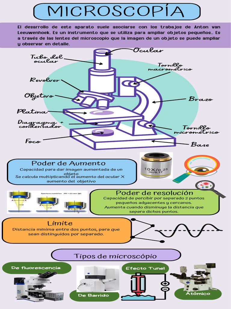 Infografia Microscopía | PDF
