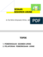 Silinder Dan Kristal Dalam Urin | PDF