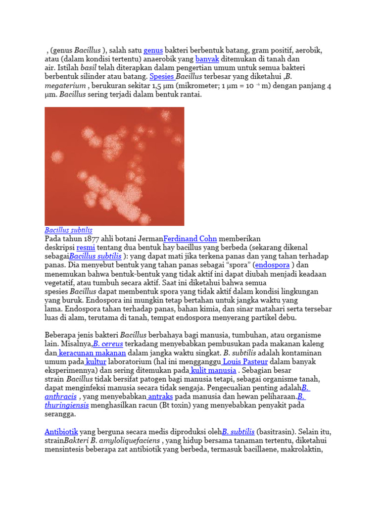 Bakteri Basil | PDF | Sains & Matematika