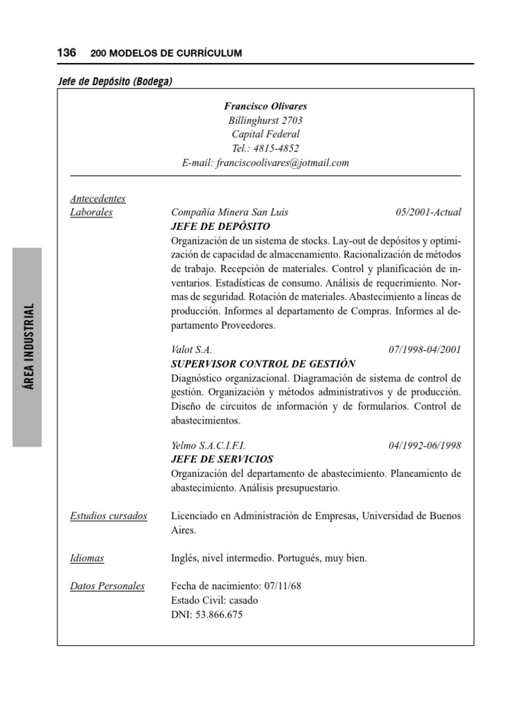 Modelo CV Jefe Deposito | PDF | Economias | Business
