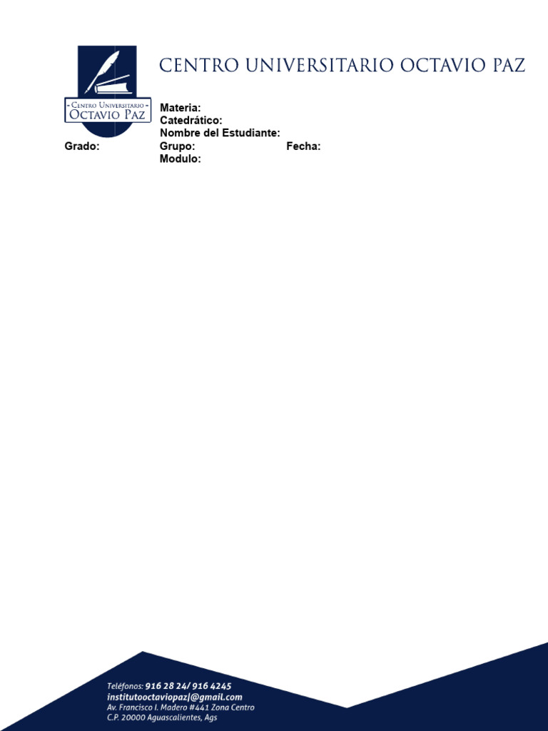 Formato Examen | PDF
