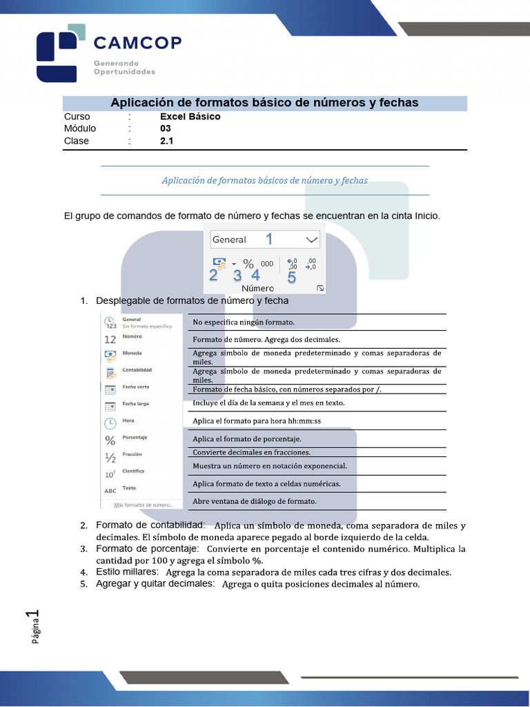 Aplicacion de Formatos Basico de Numeros y Fechas C2 M3 | PDF