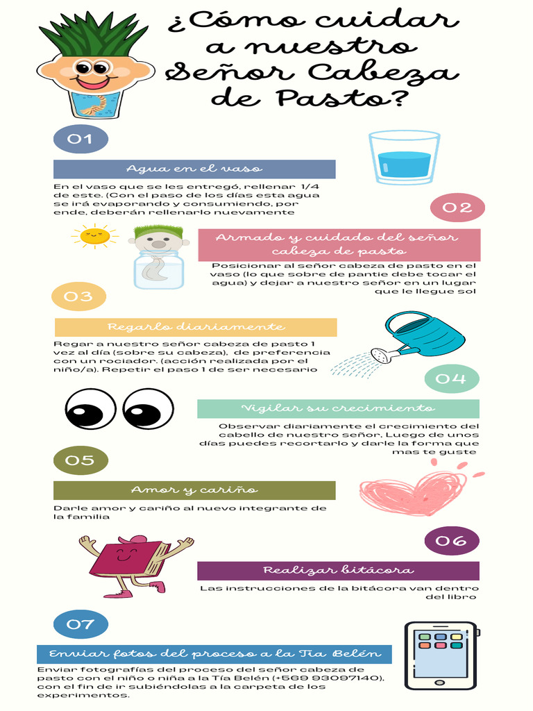 Intrucciones Señor Cabeza de Pasto | PDF