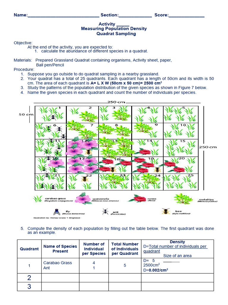Activity Quadrat Sampling | PDF