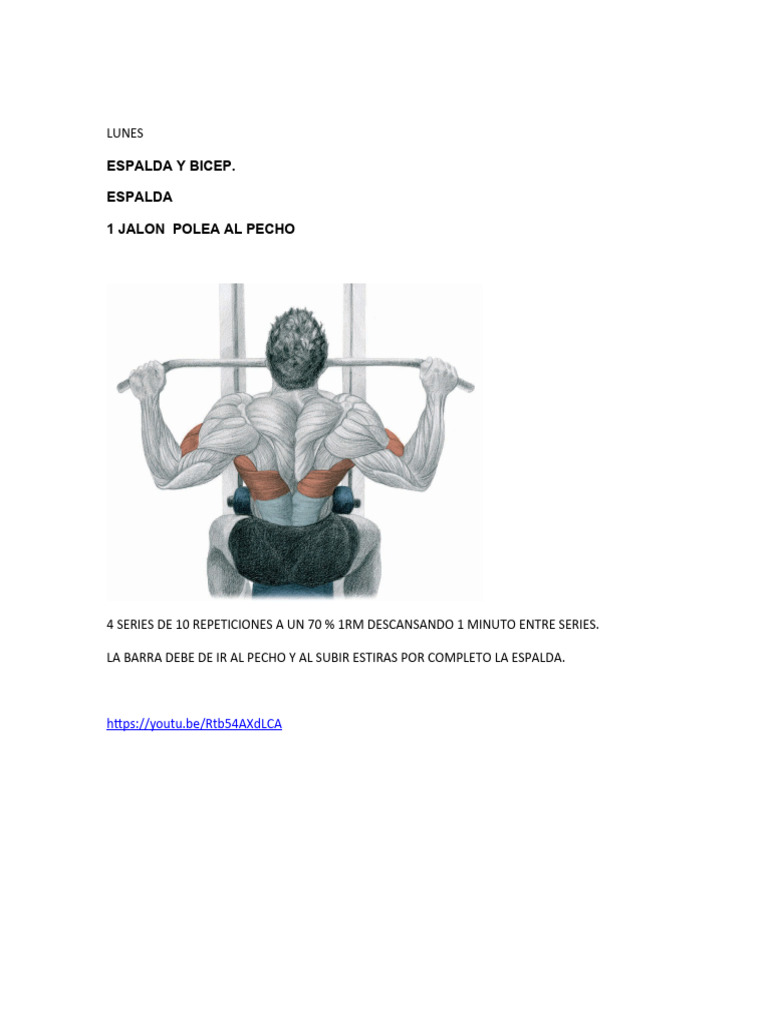 Rutina Esteban | PDF | Entrenamiento con pesas | Ejercicio físico