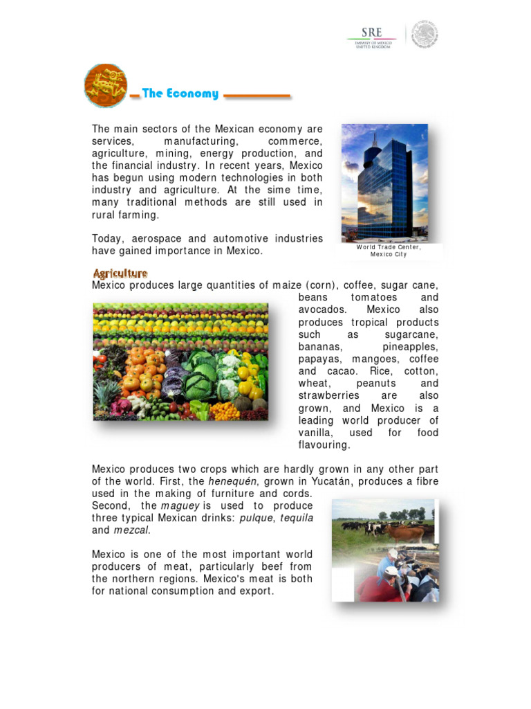 Overview of Mexico's Economic Sectors | PDF