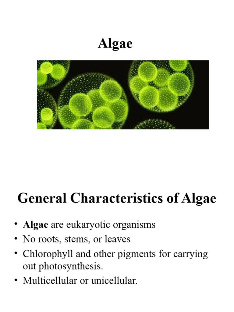 5-General Characteristics of Algae | PDF | Algae | Microorganism