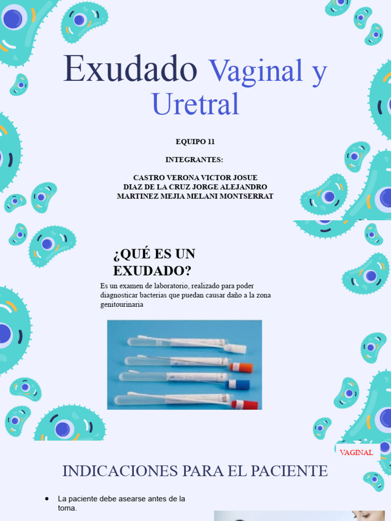 Exudado | PDF | Microbiología | Enfermedades y trastornos